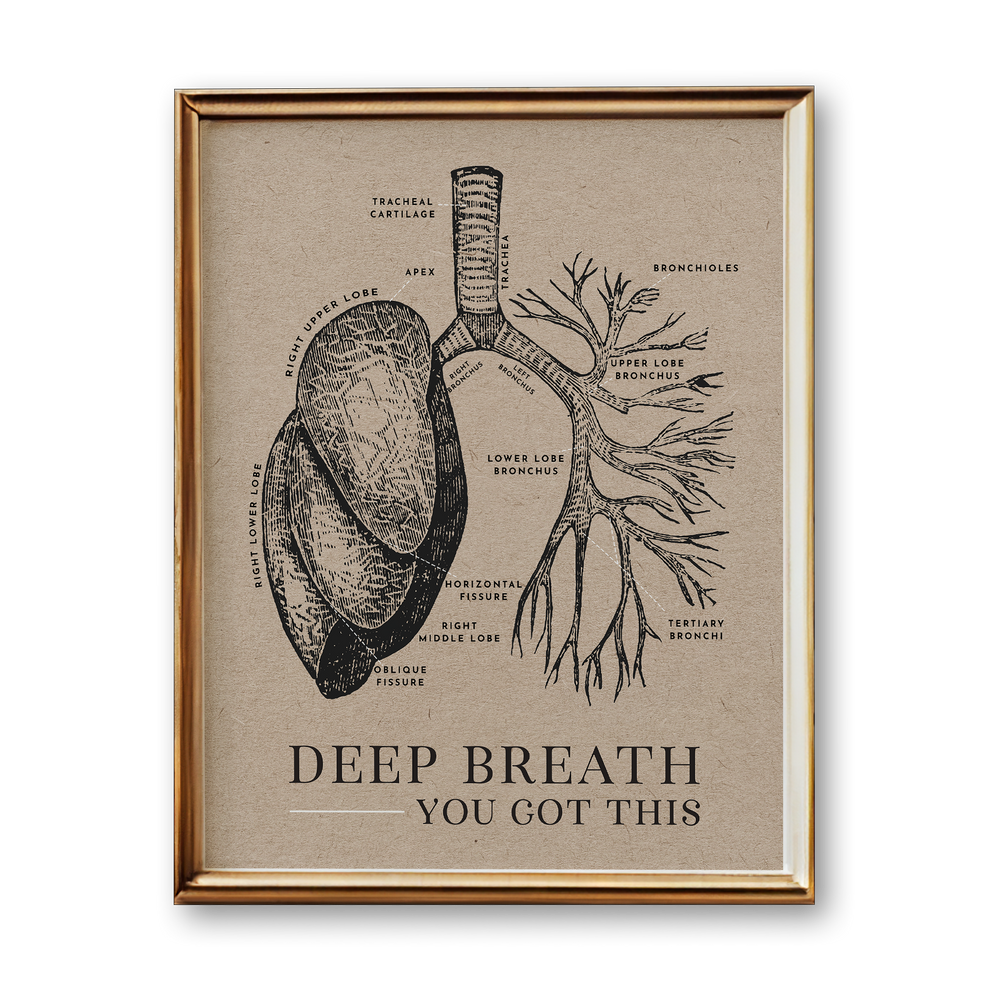 Lung Anatomy Art Print (Vintage Style) – Andante Creative
