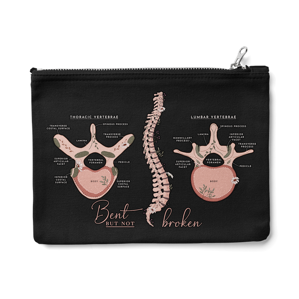 Thoracic & Lumbar Spine Anatomy Zipper Pouch – Andante Creative